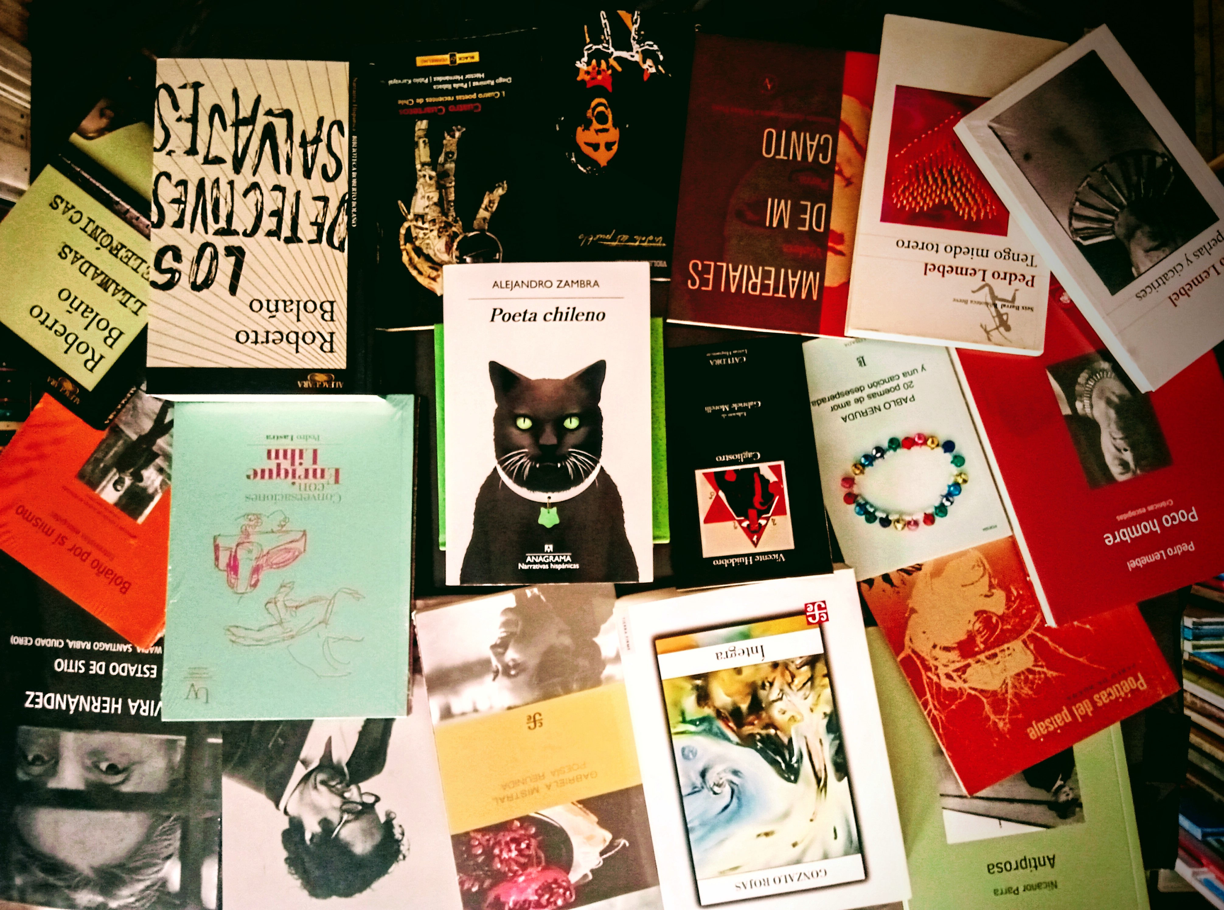 Una saliente escaldada | Poeta chileno – El gato escaldado Libros